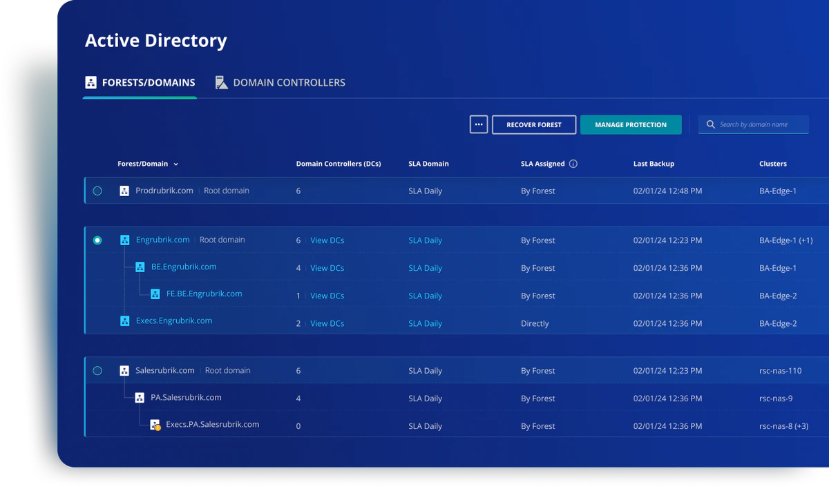Rubrik Identity Recovery | DataSafeWorks.com
